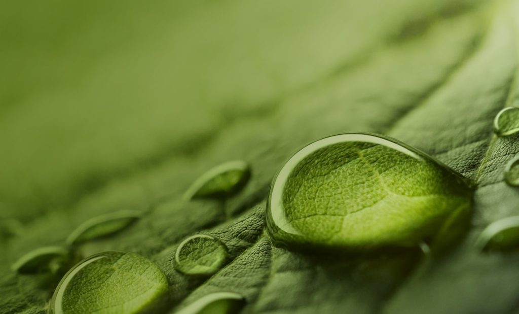 Biorius - Your Cosmetic Regulations Expert